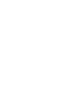 Welcome to Automatic Ice Systems, Inc - Automatic ICE™ Systems